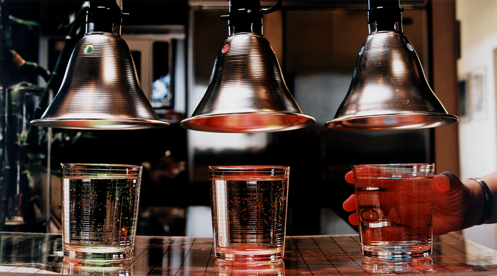 Andrew Smith Gallery - Patrick Nagatani Estate